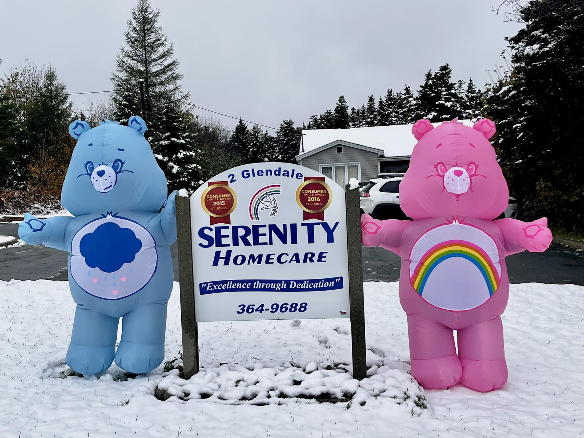 Serenity Nursing and Home Support Services Ltd. Recognised With 2025-26 ...